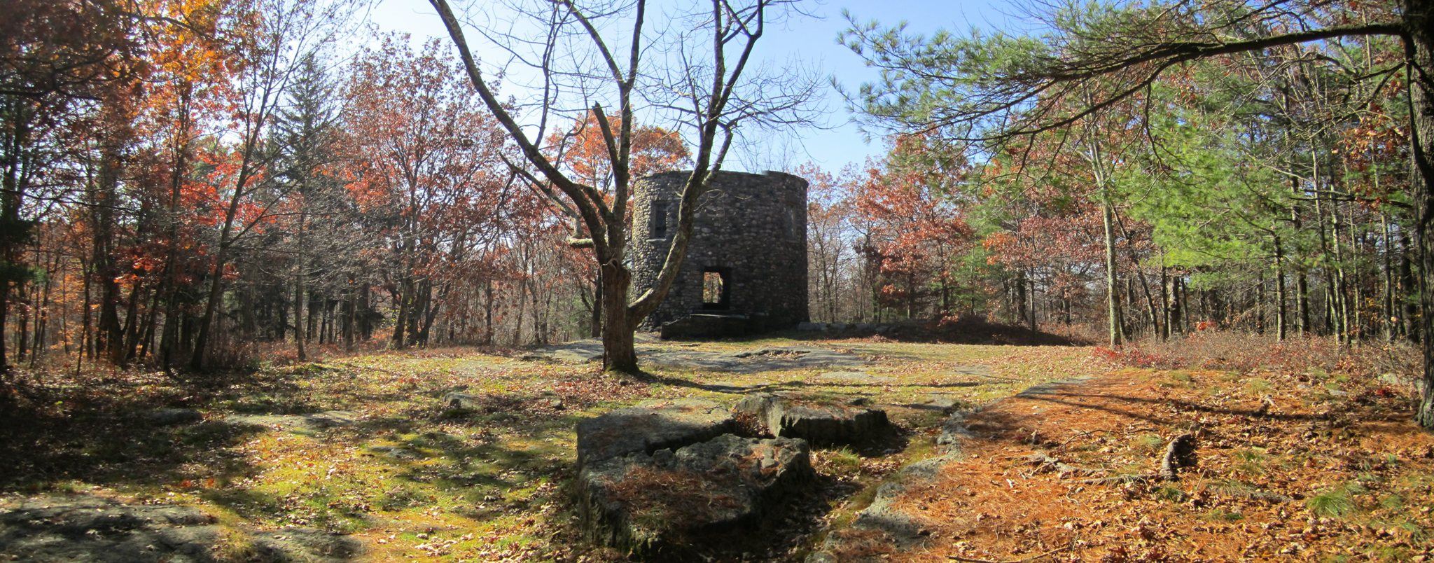 Locations Hub - Mohawk State Forest - Cunningham Tower