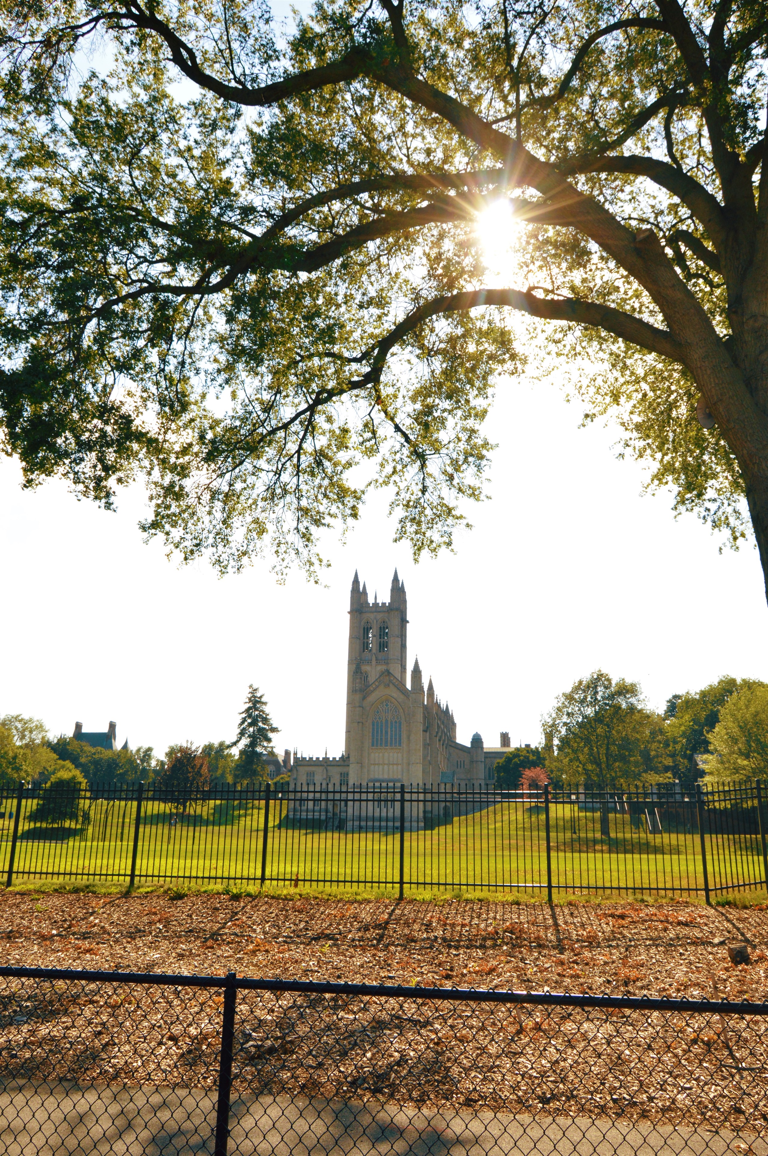 Locations Hub - Trinity College - Jesse Miller Field